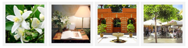 azahar’s sevilla | casa azahar